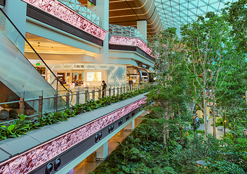 Hamad International Airport in DOHA